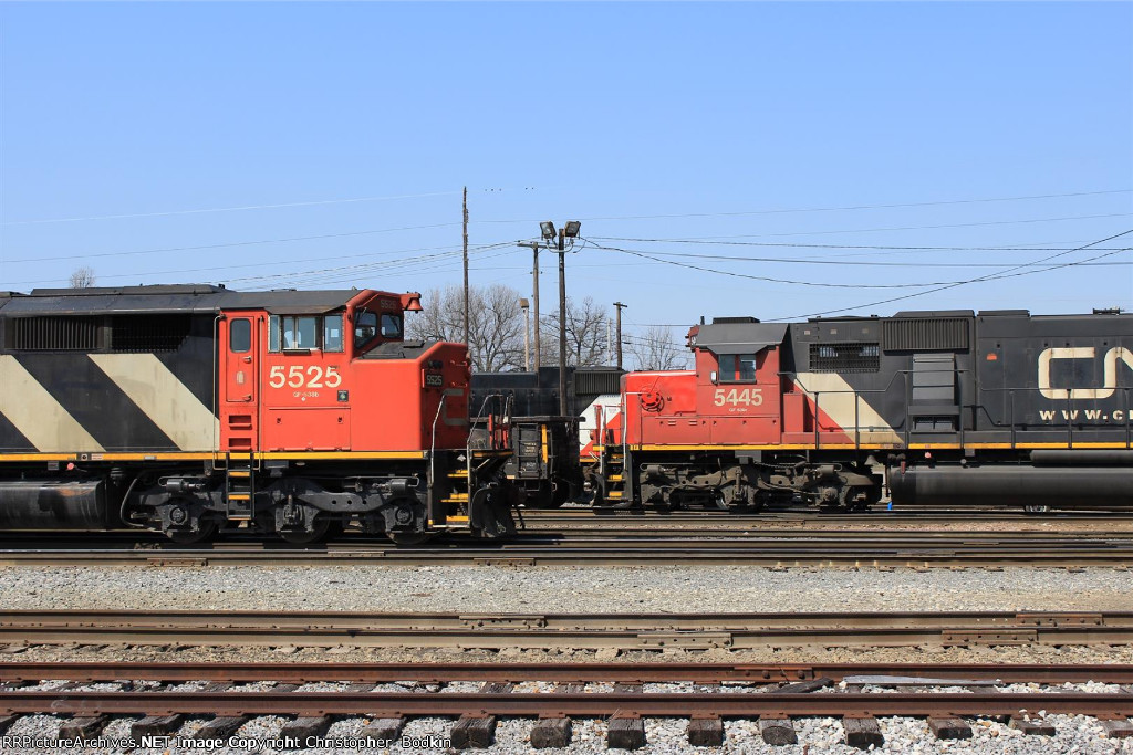 CN 5445
